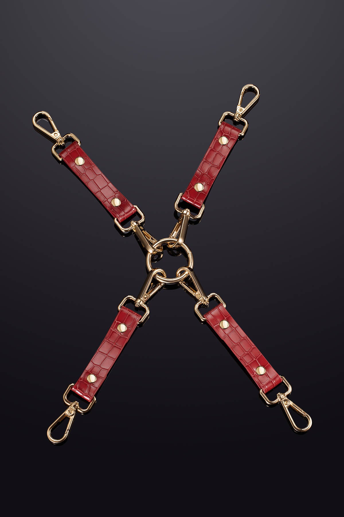 Regalia Connecting Leather Chain Red | PU Leather & Gold Hardware ...